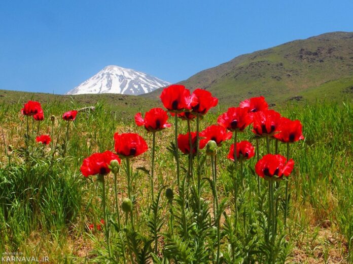 Lar National Park: Must-See Site In Northern Iran - Iran Front Page