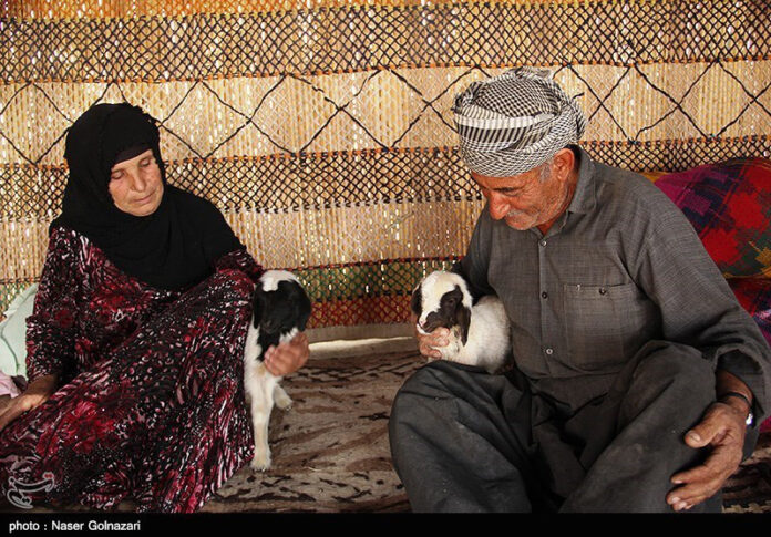 Nomadic Life In Western Iran Iran Front Page