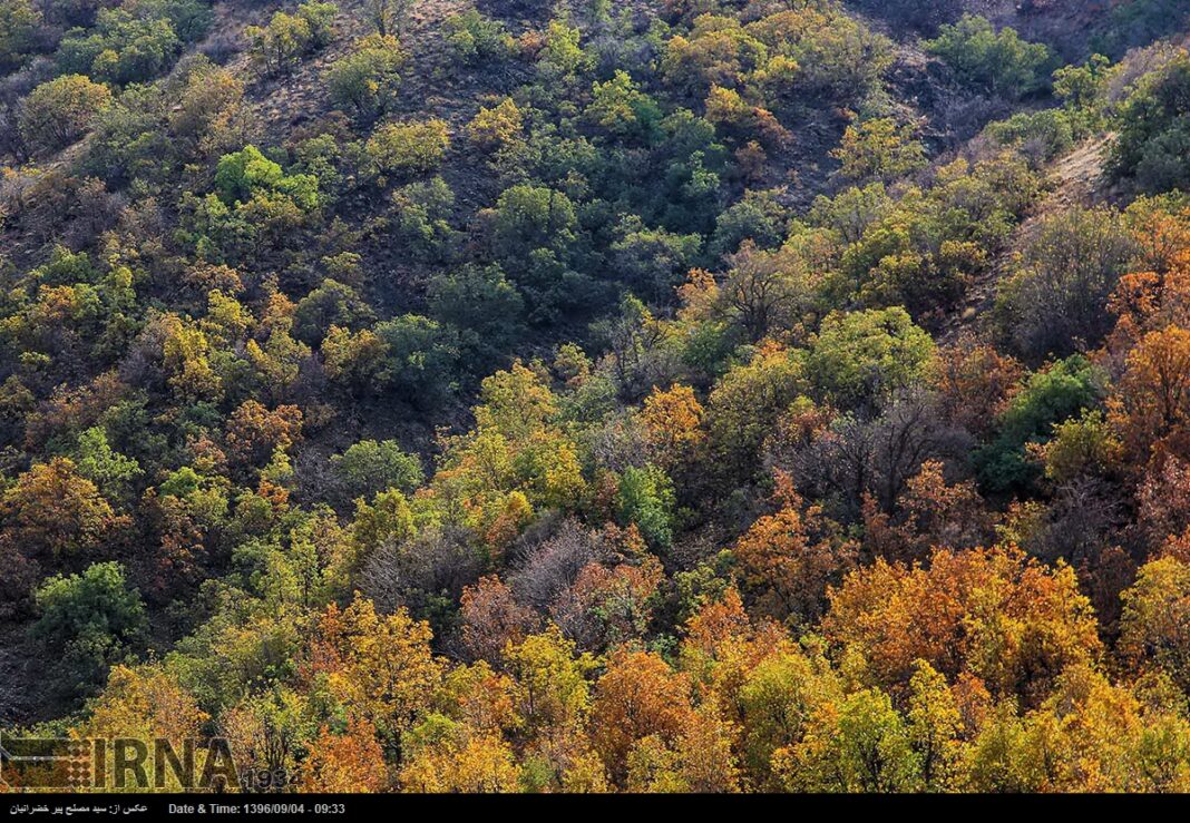 Beauties Of Iran In Autumn