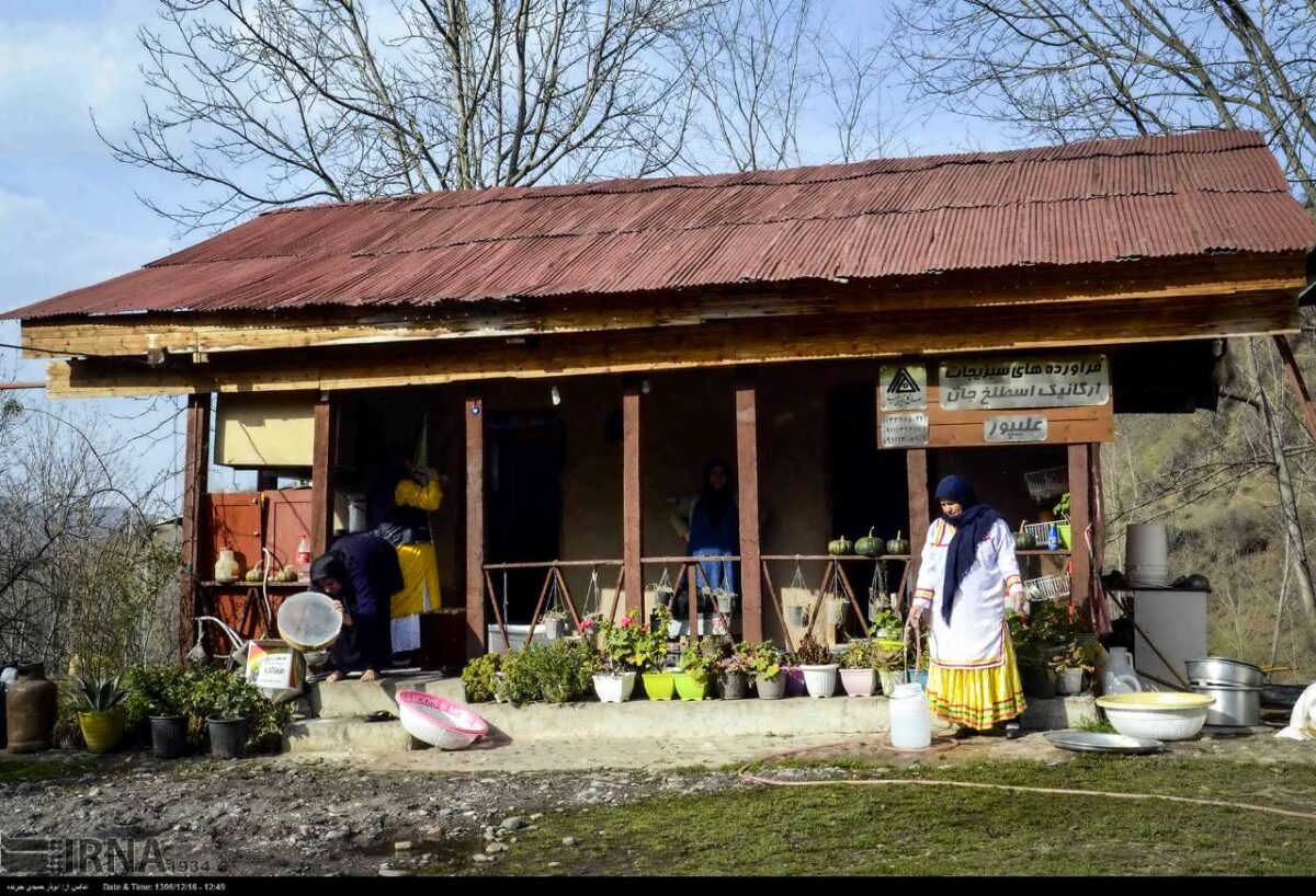 Cooking Samanu, Ancient Tradition In Northern Iran
