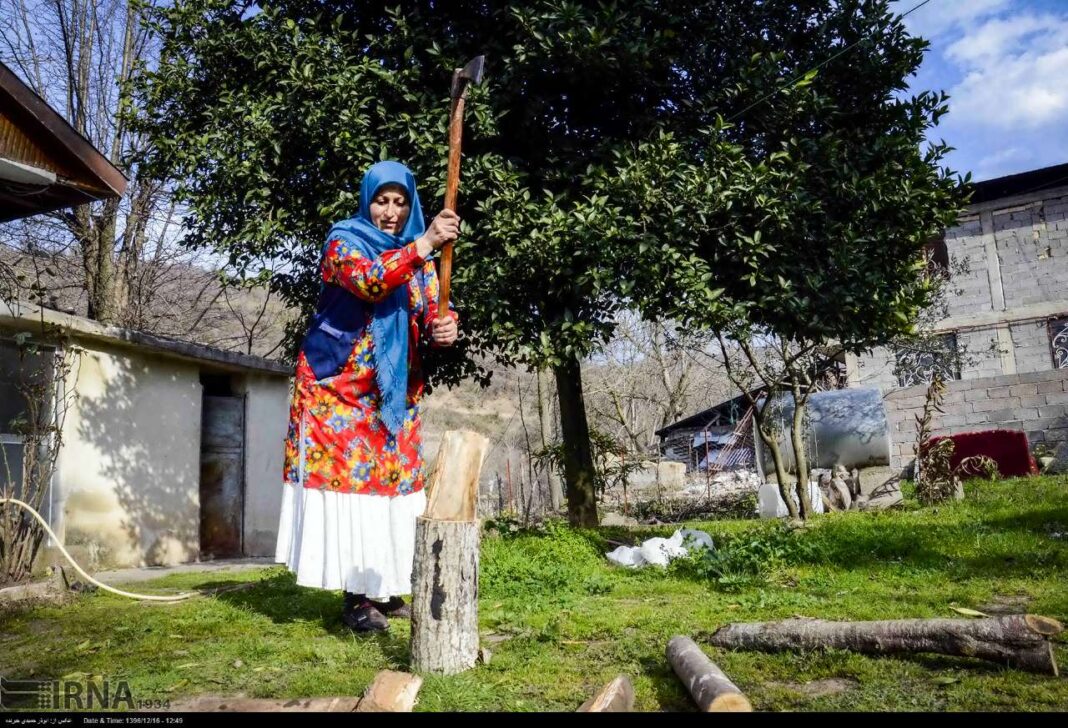 Cooking Samanu, Ancient Tradition In Northern Iran