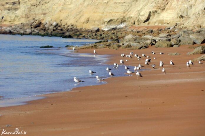Iran’s Lovely Beaches In Photos