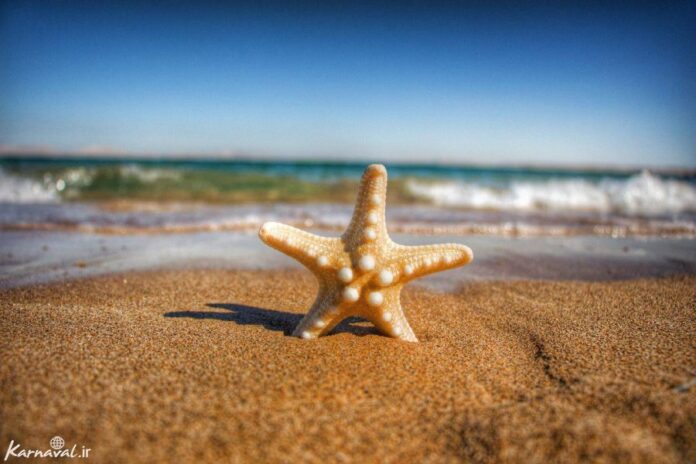 Iran’s Lovely Beaches In Photos