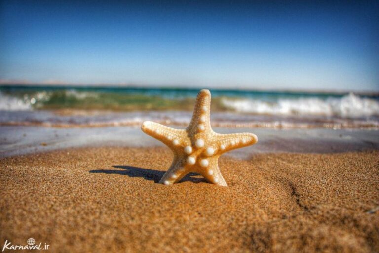 Iran’s Lovely Beaches In Photos