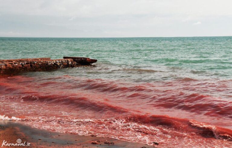 Iran’s Lovely Beaches In Photos