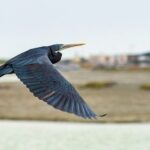 Iran Tourism and Travel News » IFP News