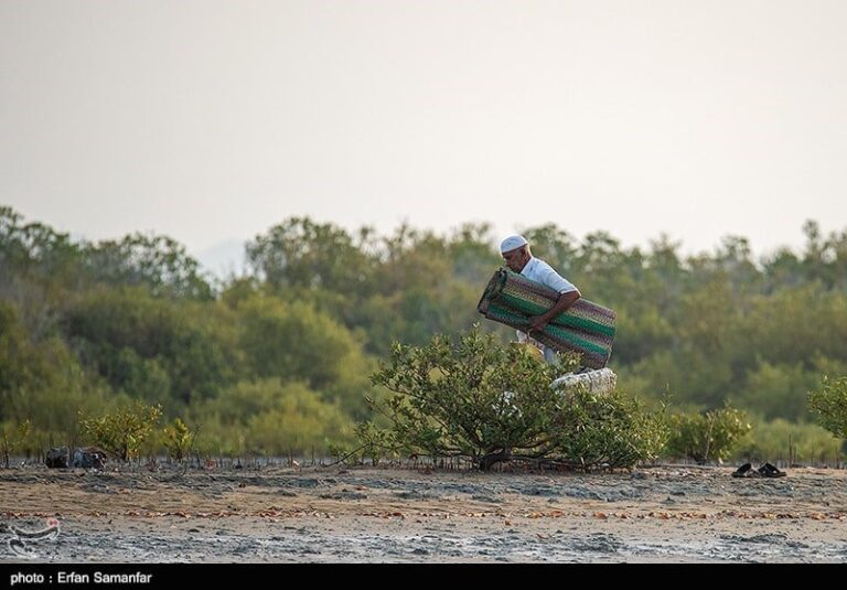 Iran’s Beauties In Photos: Sirik Lagoon - Iran Front Page