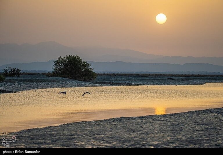 Iran’s Beauties In Photos: Sirik Lagoon - Iran Front Page