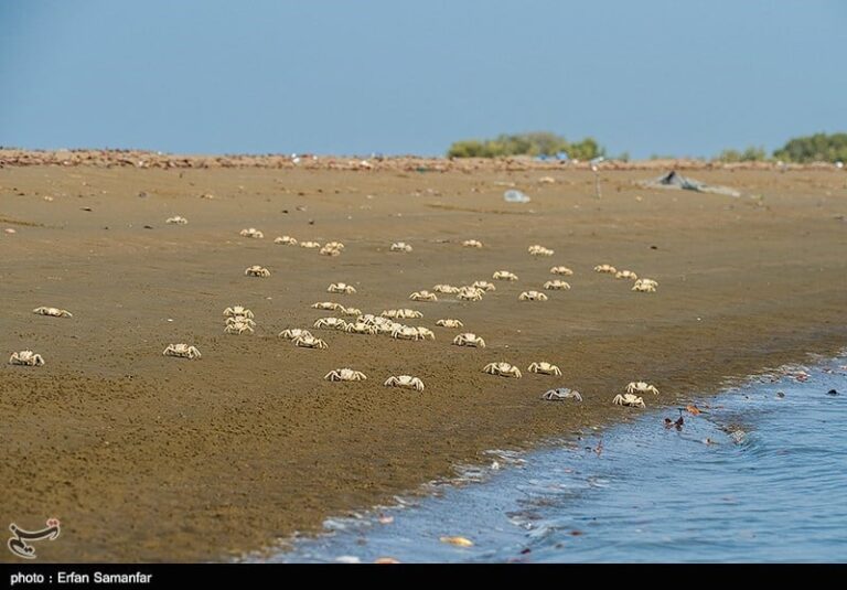 Iran’s Beauties In Photos: Sirik Lagoon - Iran Front Page