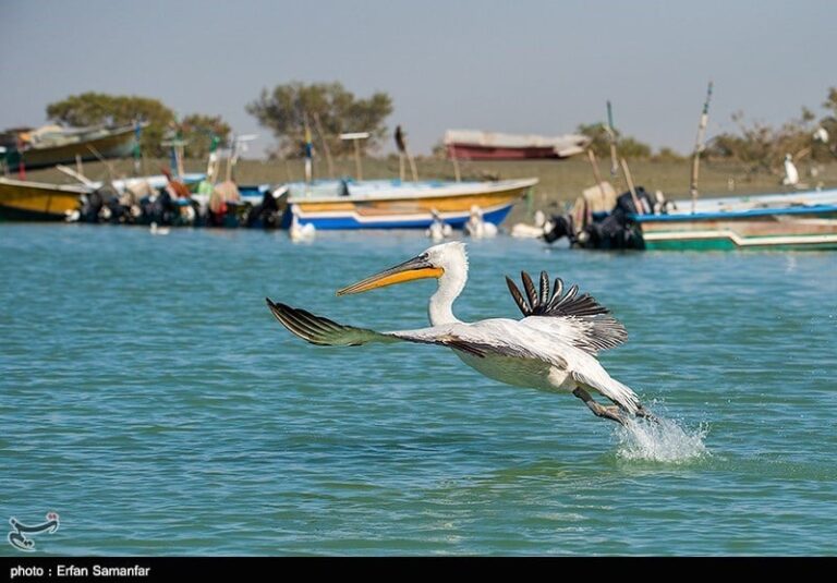 Iran’s Beauties In Photos: Sirik Lagoon - Iran Front Page