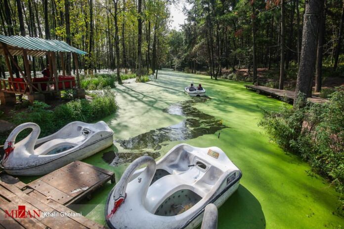 Iran’s Beauties In Photos: Saravan Swamp, Forest Park - Iran Front Page
