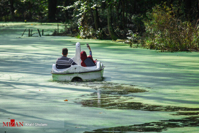 Iran’s Beauties In Photos: Saravan Swamp, Forest Park - Iran Front Page
