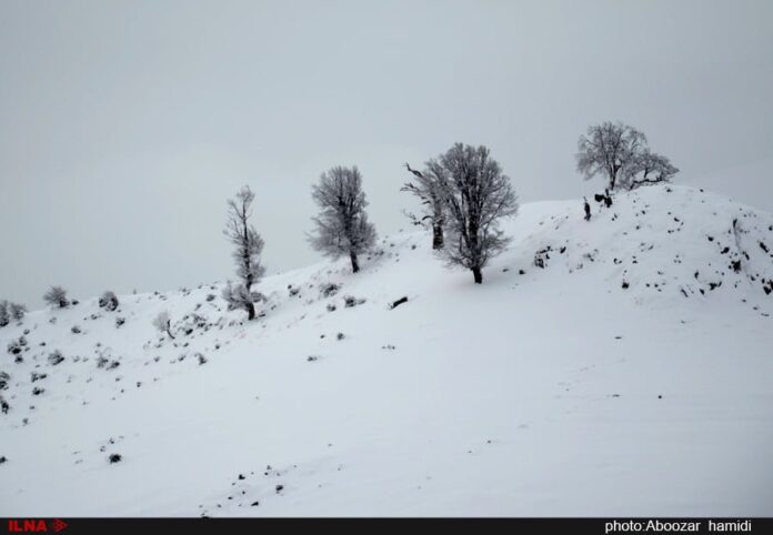 Asalem To Khalkhal Road; Most Beautiful Route In Iran - Iran Front Page