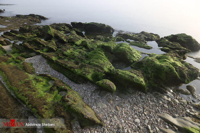 Beauty Of Persian Gulf More Tangible At Parsian Coast - Iran Front Page