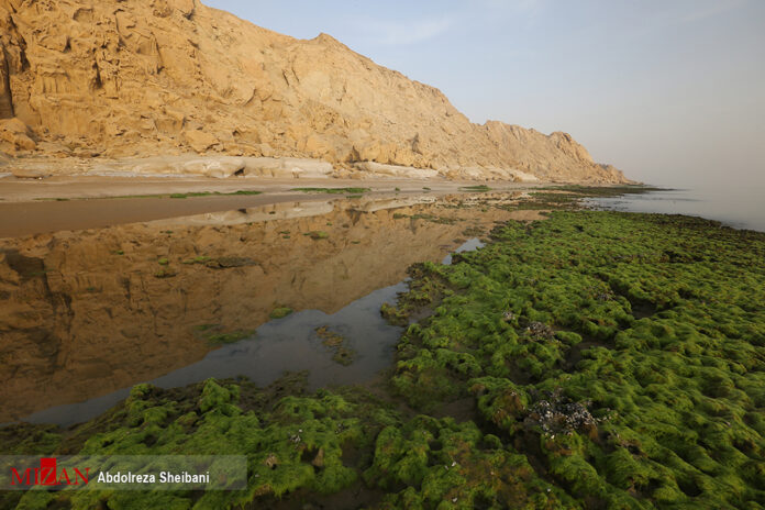 Beauty Of Persian Gulf More Tangible At Parsian Coast - Iran Front Page