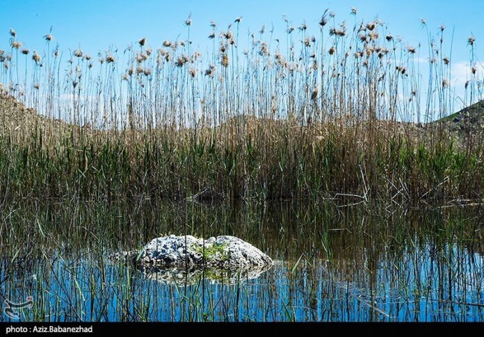 Iran’s Beauties In Photos: Pol-e Dokhtar Lagoons - Iran Front Page
