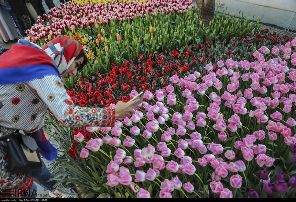 Son Covers Street In Tehran With 200,000 Tulips In Mother’s Memory ...
