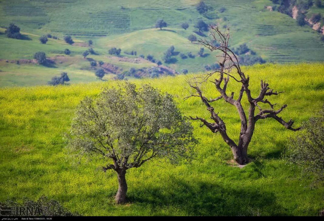 Virgin Nature Of Dehdez, Juyom Plain In Photos - Iran Front Page