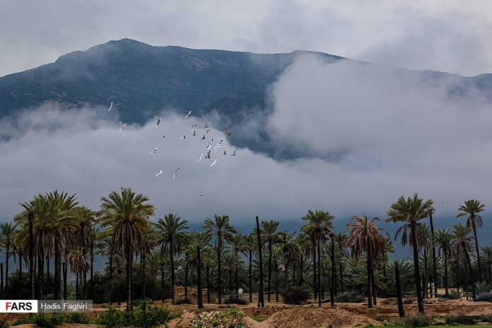 Gerash; A Small Village With Numerous Attractions - Iran Front Page