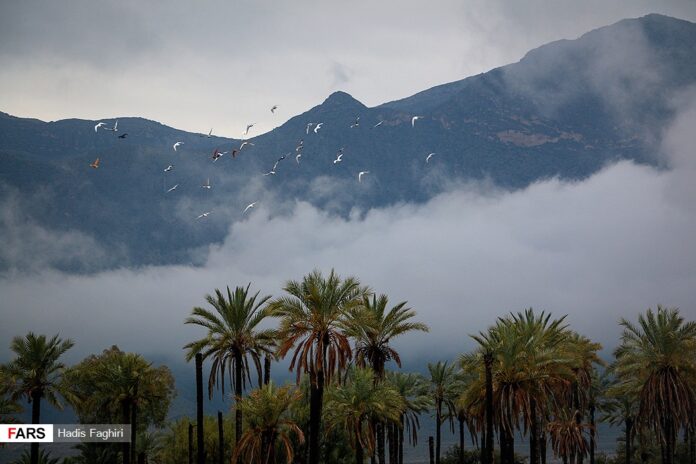 Gerash; A Small Village With Numerous Attractions - Iran Front Page
