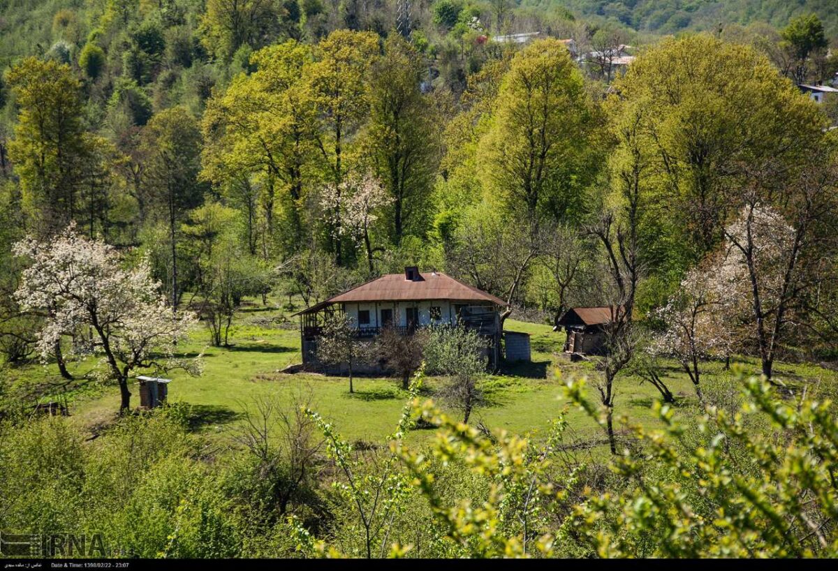 Iran’s Beauties In Photos: Spring In Gilan - Iran Front Page