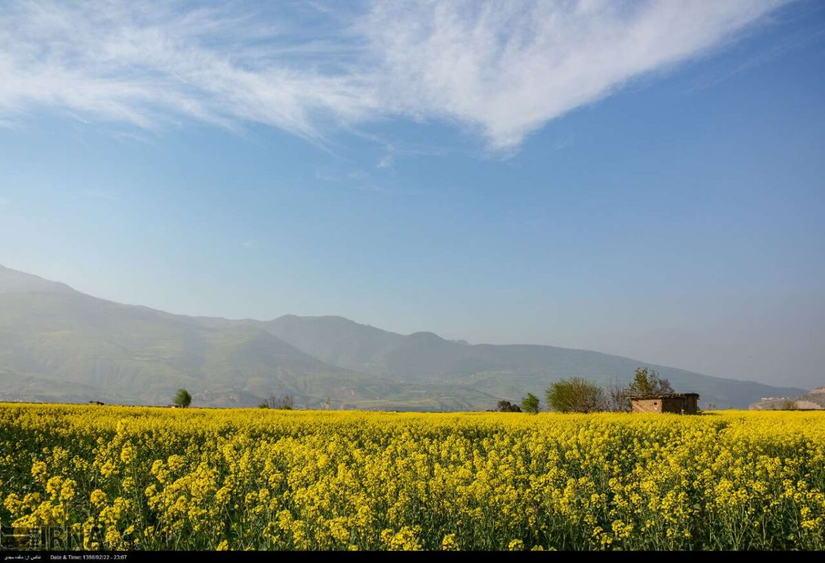 Iran’s Beauties In Photos: Spring In Gilan - Iran Front Page