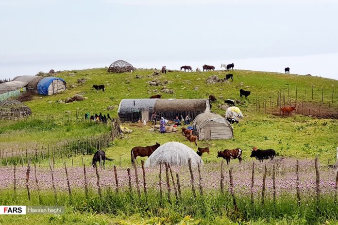 Choubar Countryside; A Heaven Above The Clouds - Iran Front Page