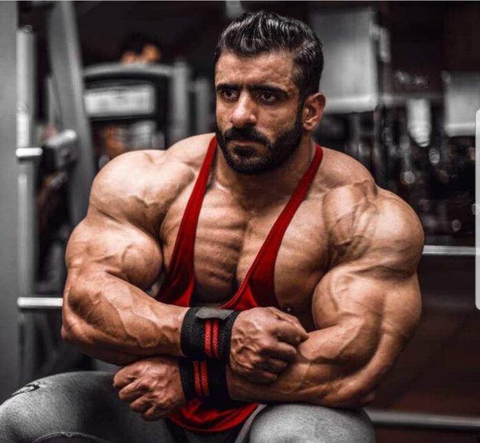 'Iranian Wolf' Stuns Judges At 2019 Mr. Olympia - Iran Front Page
