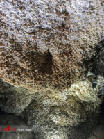 Iran’s Beauties In Photos: Chal-Nakhjir Cave - Iran Front Page