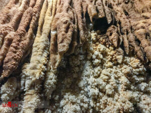 Iran’s Beauties In Photos: Chal-Nakhjir Cave - Iran Front Page