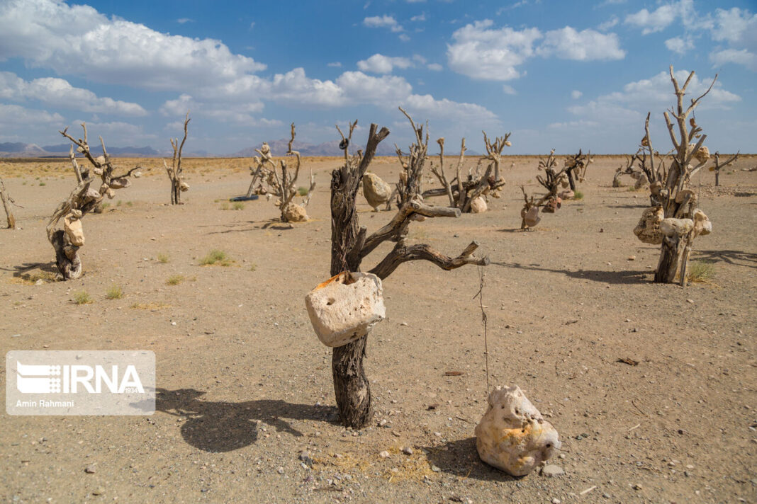 Iran’s Beauties In Photos: Stone Garden Of Kerman - Iran Front Page