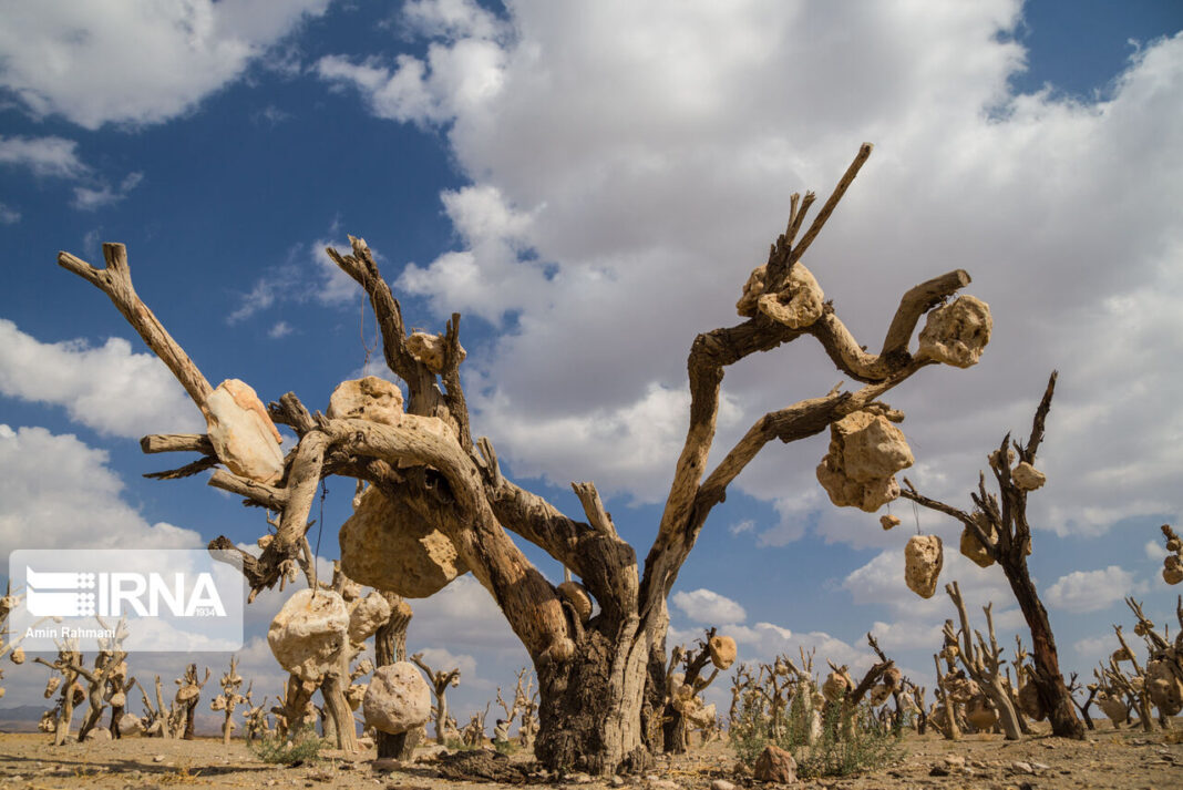 Iran’s Beauties In Photos: Stone Garden Of Kerman - Iran Front Page