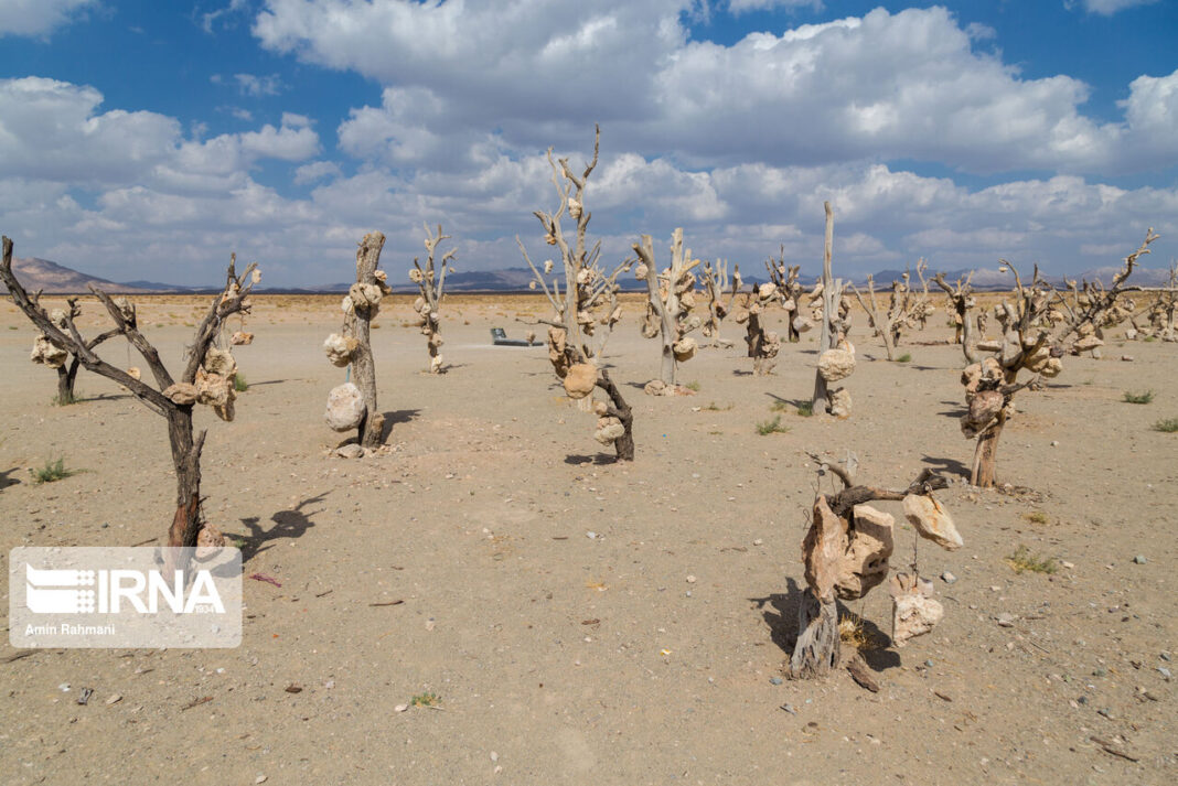 Iran’s Beauties In Photos: Stone Garden Of Kerman - Iran Front Page