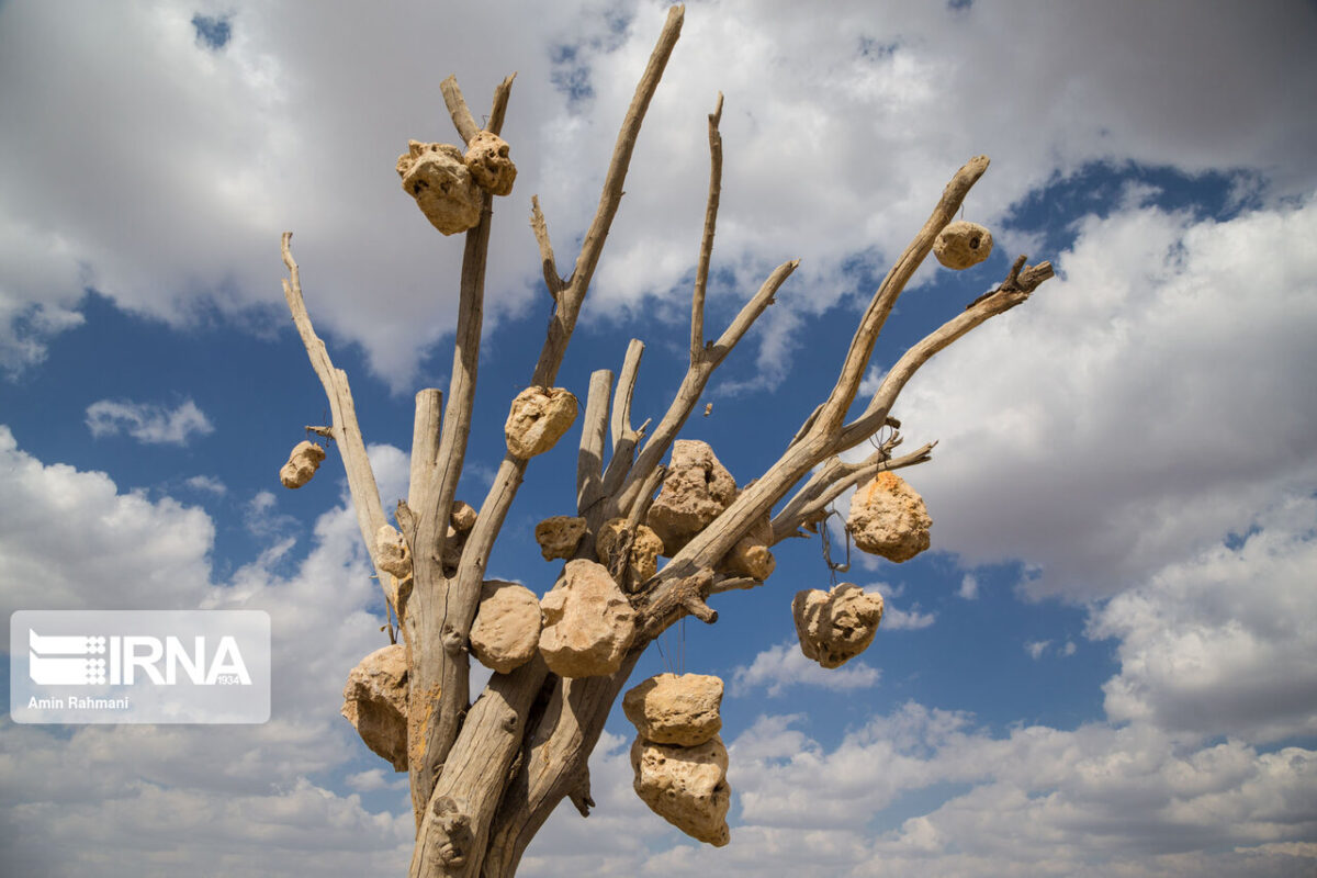 Iran’s Beauties In Photos: Stone Garden Of Kerman - Iran Front Page