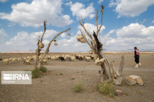 Iran’s Beauties In Photos: Stone Garden Of Kerman - Iran Front Page