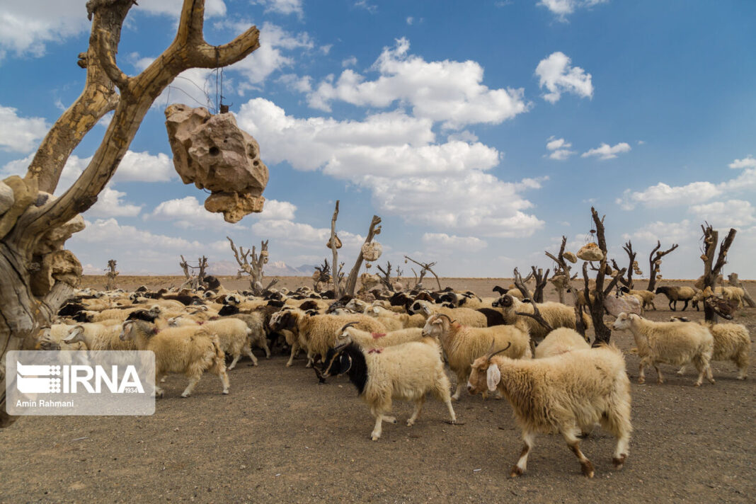 Iran’s Beauties in Photos: Stone Garden of Kerman | Iran Front Page