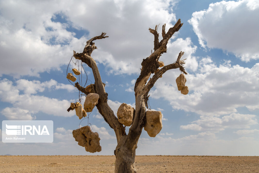Iran’s Beauties In Photos: Stone Garden Of Kerman - Iran Front Page