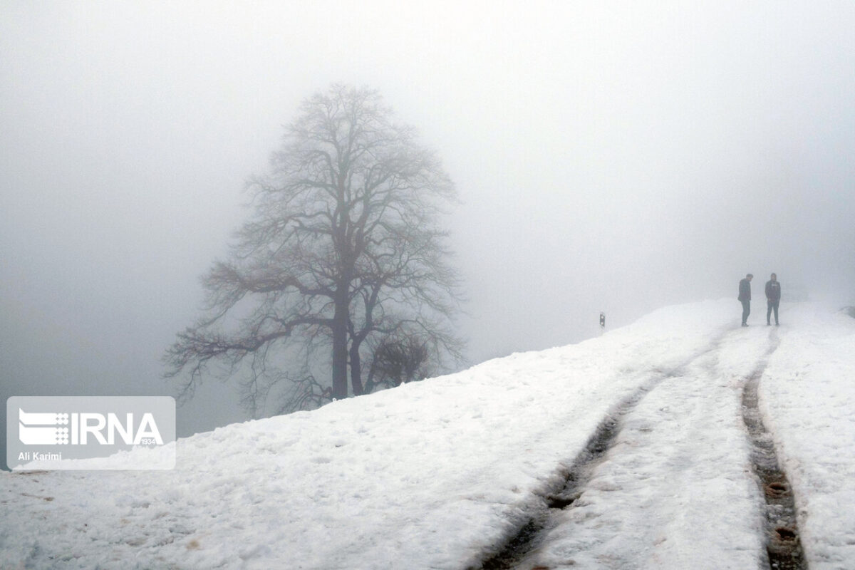 Iran’s Nature In Photos: Hyrcanian Forests During Winter - Iran Front Page