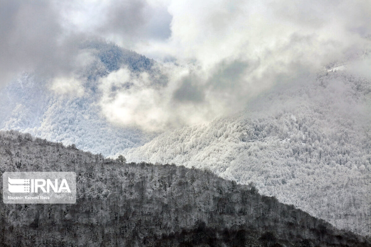 Iran’s Nature In Photos: Hyrcanian Forests During Winter - Iran Front Page