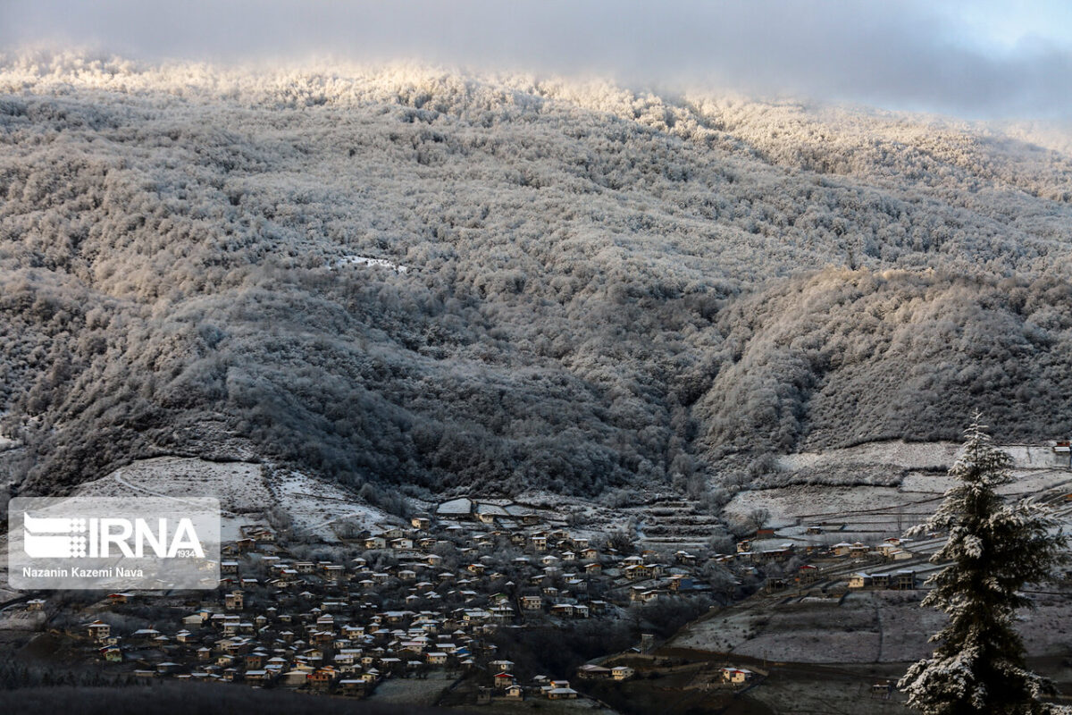 Iran’s Nature In Photos: Hyrcanian Forests During Winter - Iran Front Page