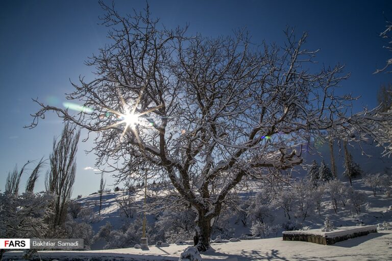 Iran's Nature In Photos: Snowy Winter In Sanandaj - Iran Front Page