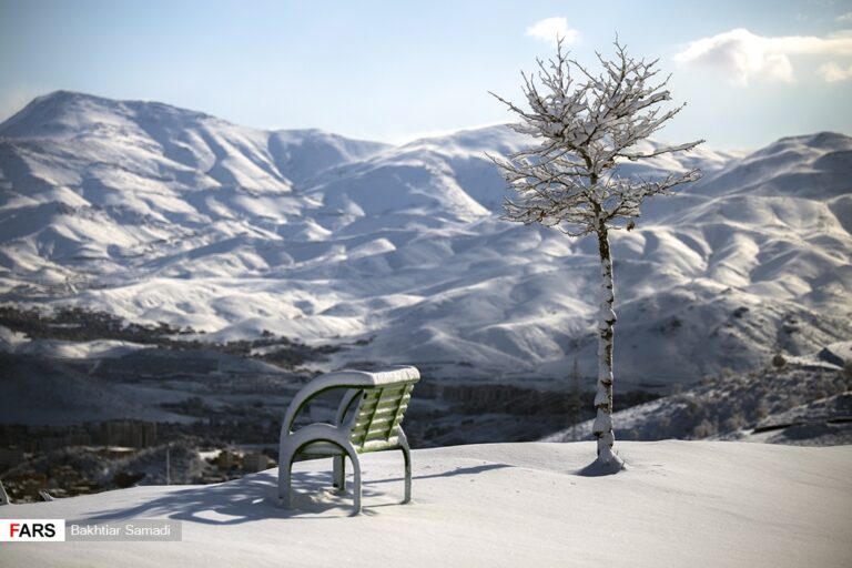 Iran's Nature In Photos: Snowy Winter In Sanandaj - Iran Front Page