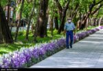 Iran's Beauties In Photos: Isfahan In Spring - Iran Front Page