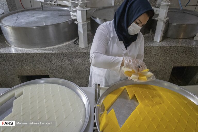 Tar Halva | Iranian Dessert - Iran Front Page