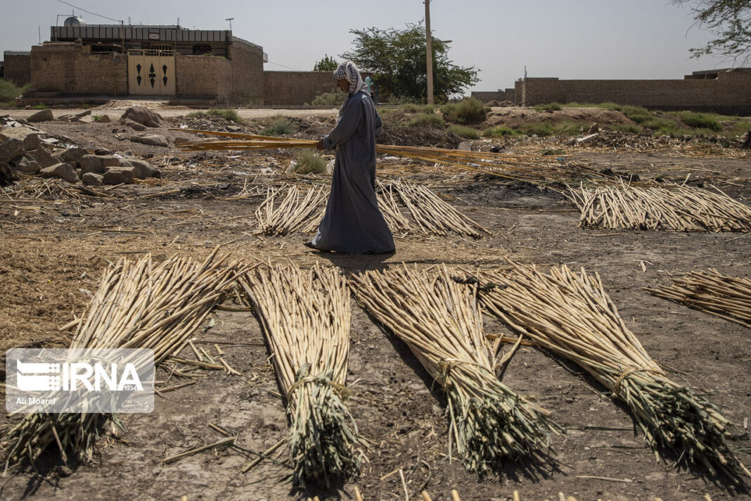 Ancient Art Of Mat Weaving In Iran’s Khuzestan - Iran Front Page
