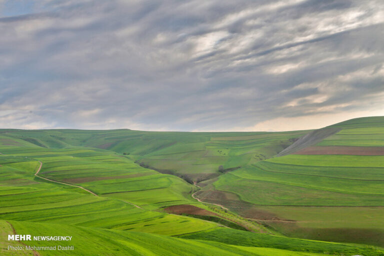 Iran’s Beauties In Photos: Mughan Plain - Iran Front Page