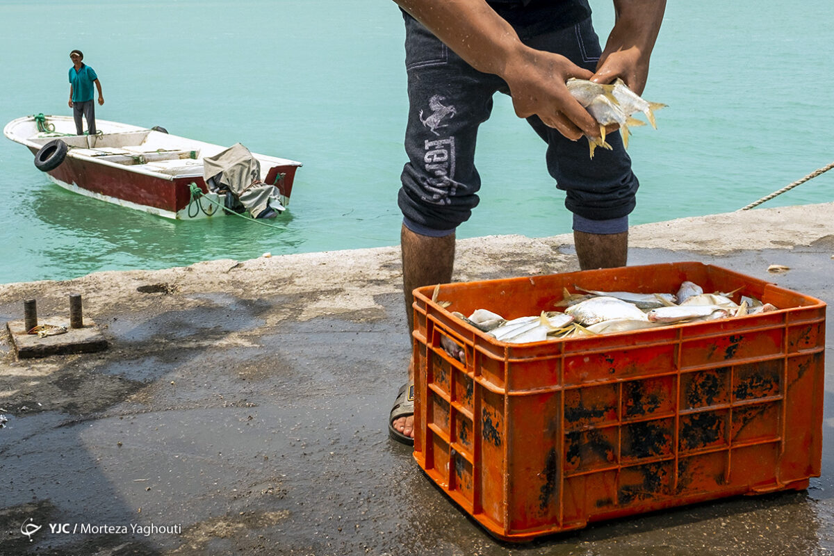 Bahrakan; The Biggest Fishing Port Of Iran - Iran Front Page