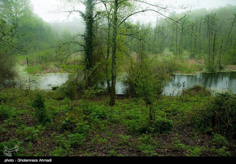 Iran's Nature In Photos: Qadikola Lagoon - Iran Front Page