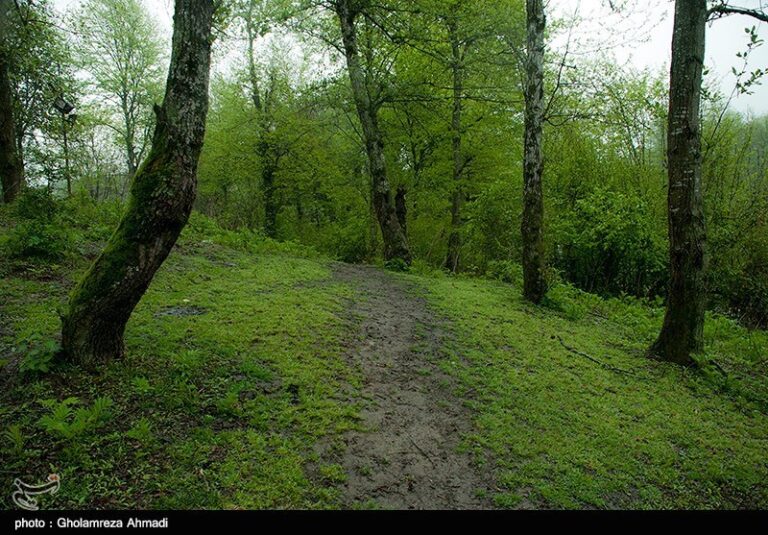 Iran's Nature In Photos: Qadikola Lagoon - Iran Front Page