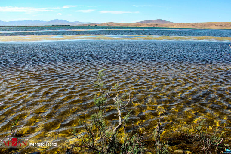 Iran's Nature In Photos: Dargah Sangi International Wetland - Iran ...